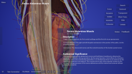 Apex Anatomy – See the Unseen