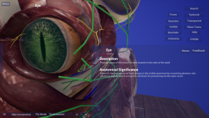 Apex Anatomy – See the Unseen